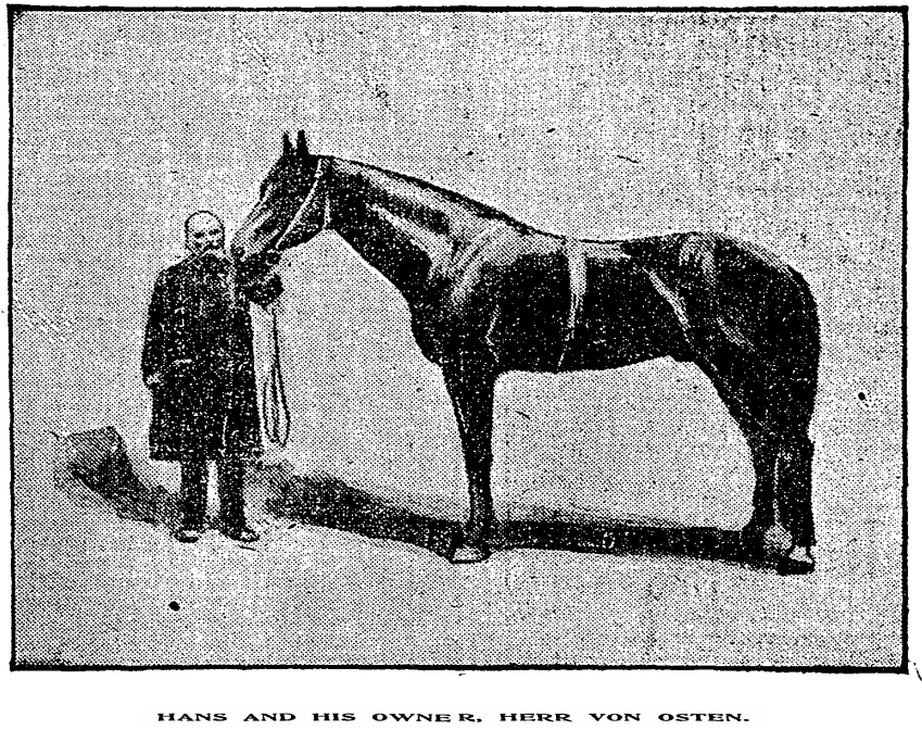 Ask Clever Hans a question | The Aperiodical