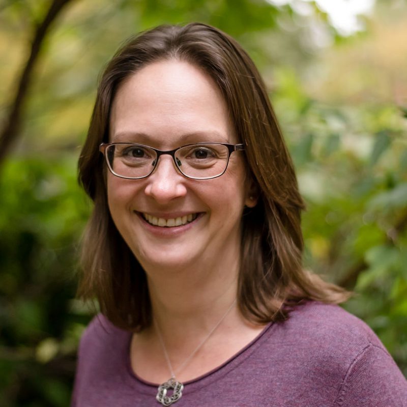 The Big Internet Math-Off 2019, Group 3 – Vicky Neale vs Sophie Carr ...